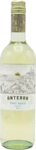2023 Anterra Pinot Grigio, Italy (1.5L) – Woods Wholesale Wine