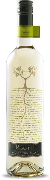 2022 Root 1 Sauvignon Blanc, Casablanca Valley, Chile (750ml) – Woods ...